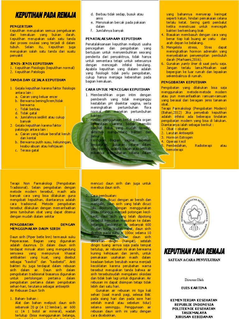 Leaflet SAP | PDF