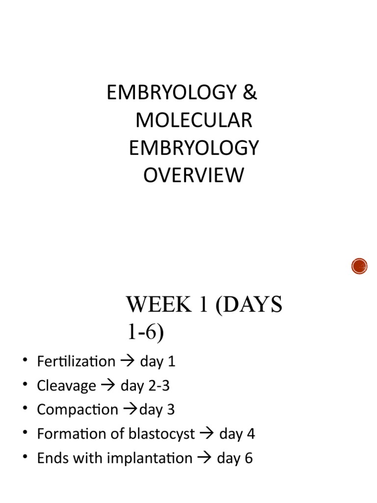 Embriologi Overview | PDF | Implantation (Human Embryo) | Fertilisation