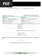 Formato de Devolucion - Editable | PDF