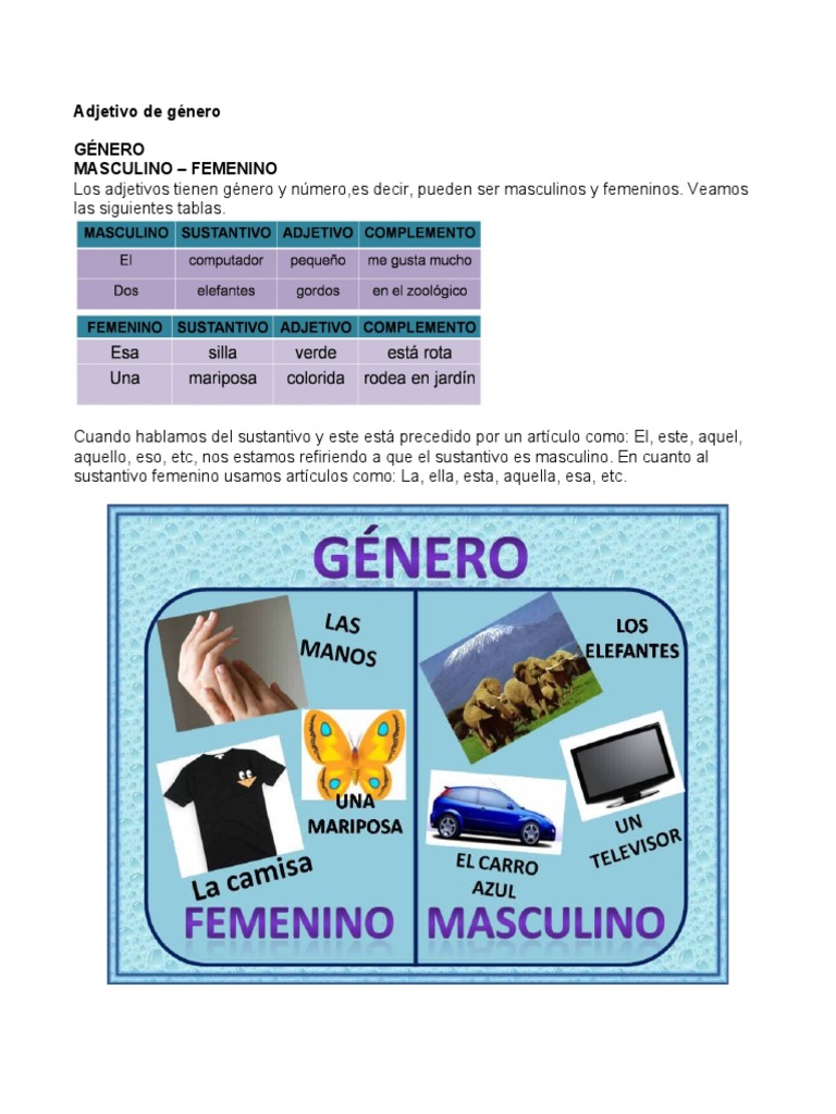 Género y número de los adjetivos | PDF