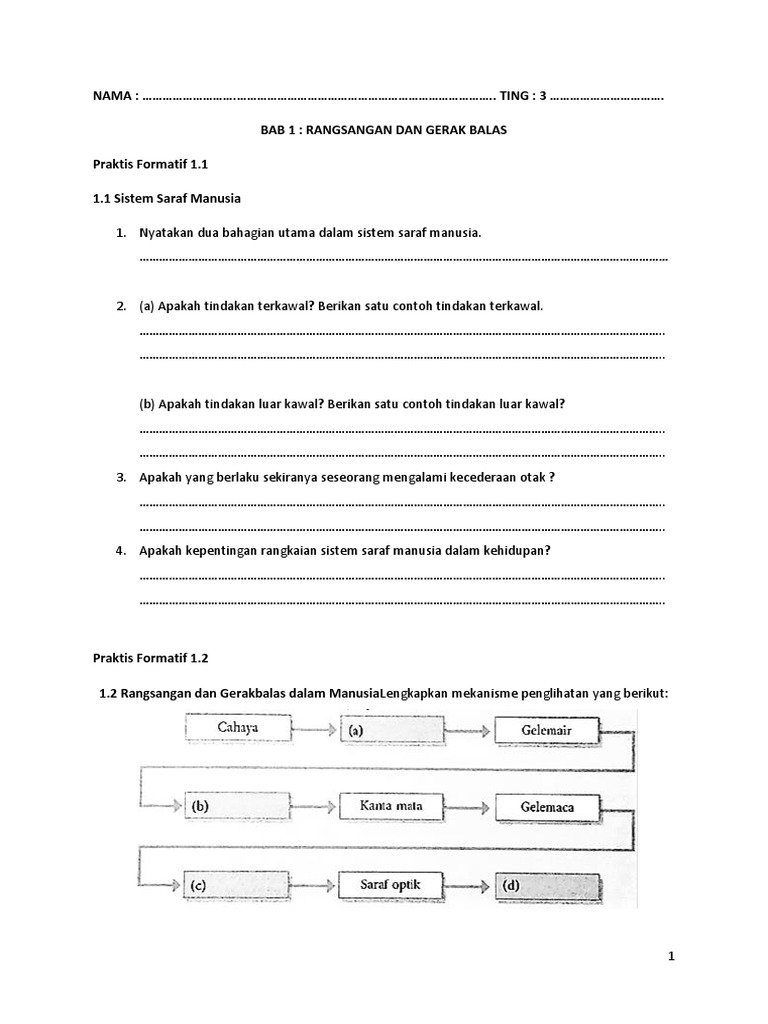 Latihan Topikal Sains Tingkatan 3 Bab 1 Rangsangan Dan Gerak Balas Pdf