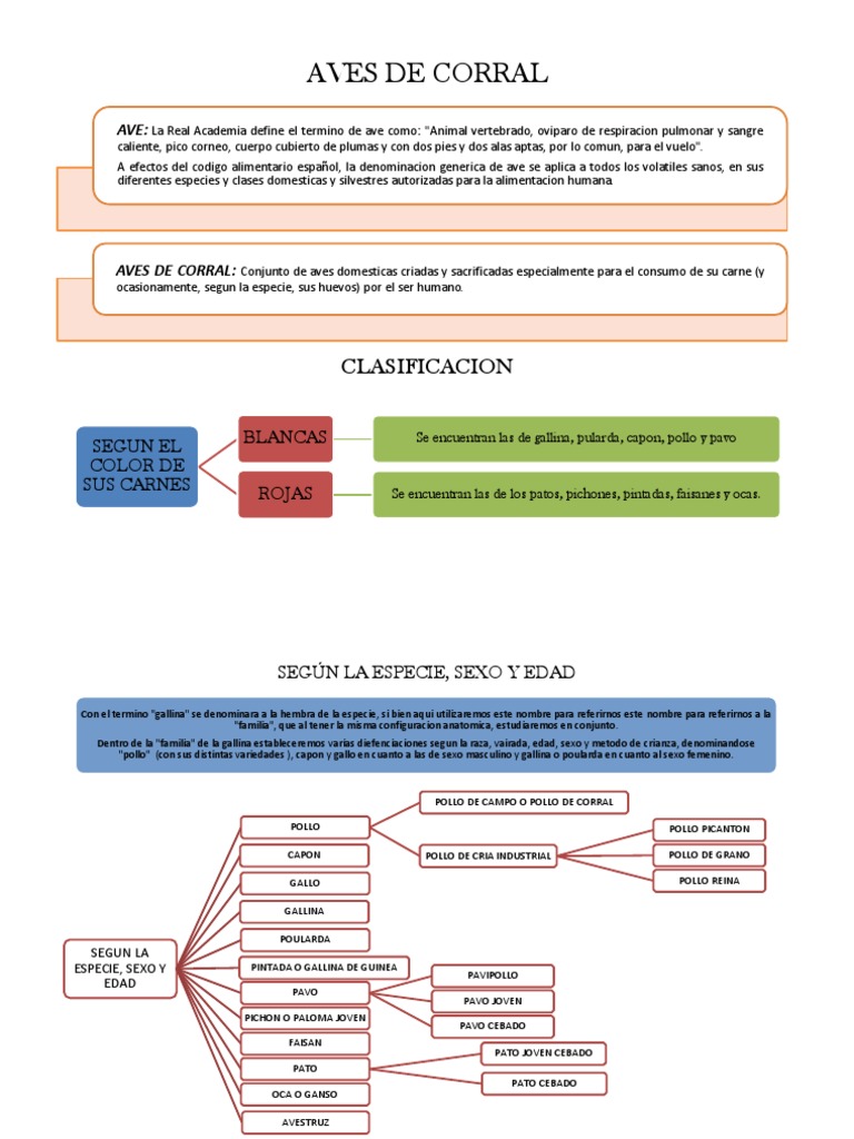 Clasificación de Aves de Corral | PDF | Carne | Aves
