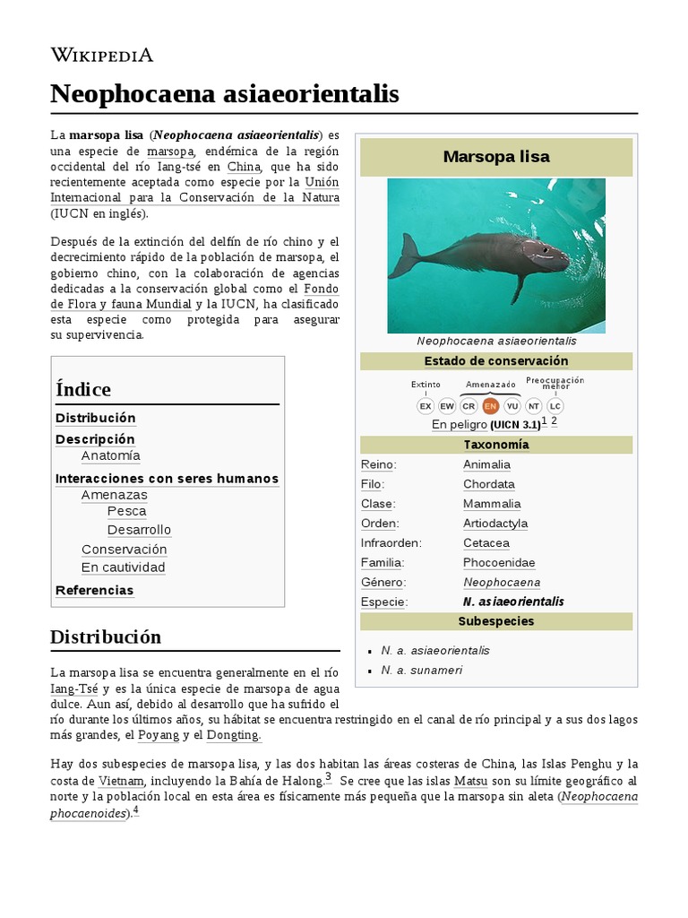 Neophocaena Asiaeorientalis | PDF