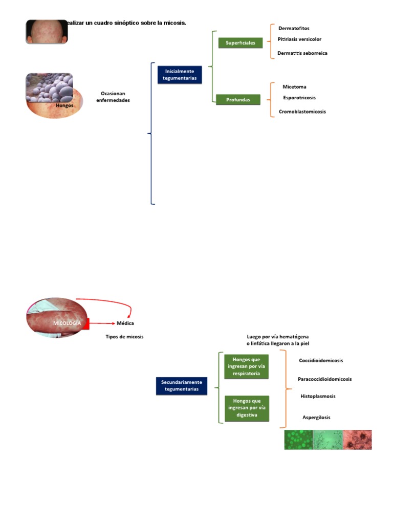 Micosis | PDF