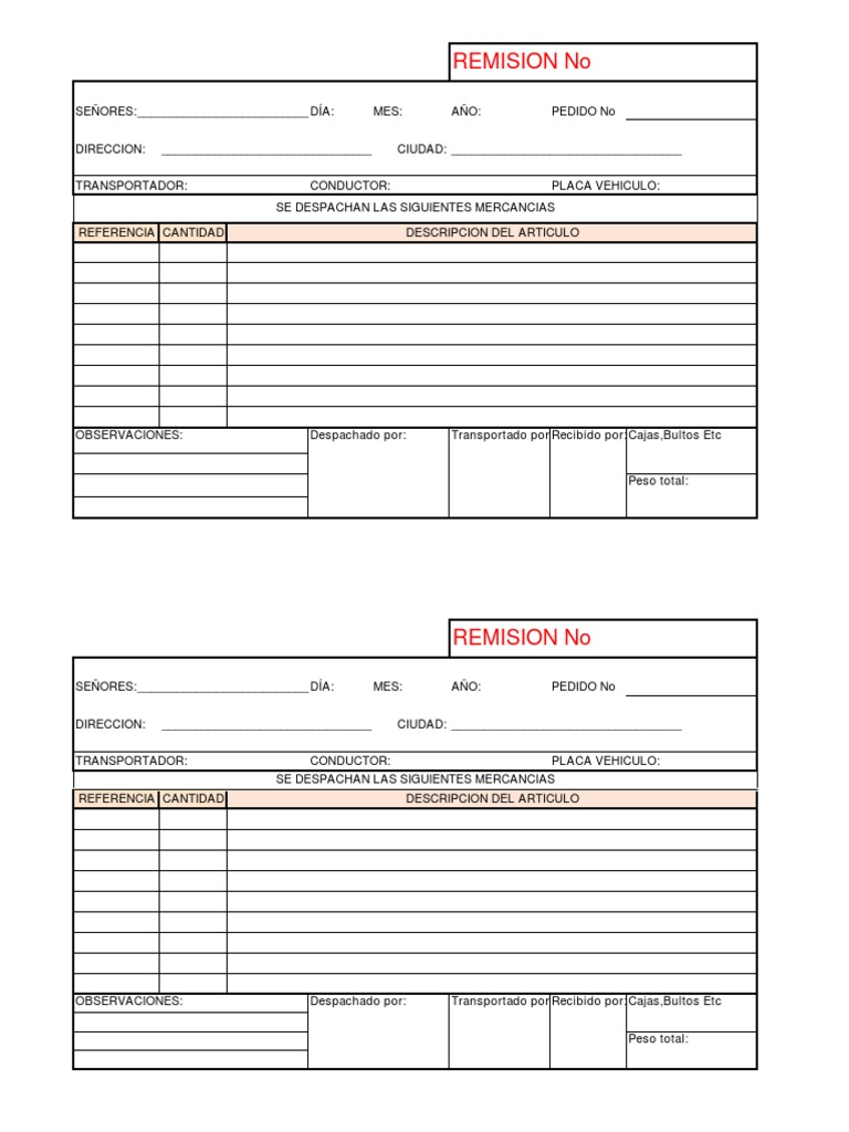 Modelo Remision Entrega | PDF