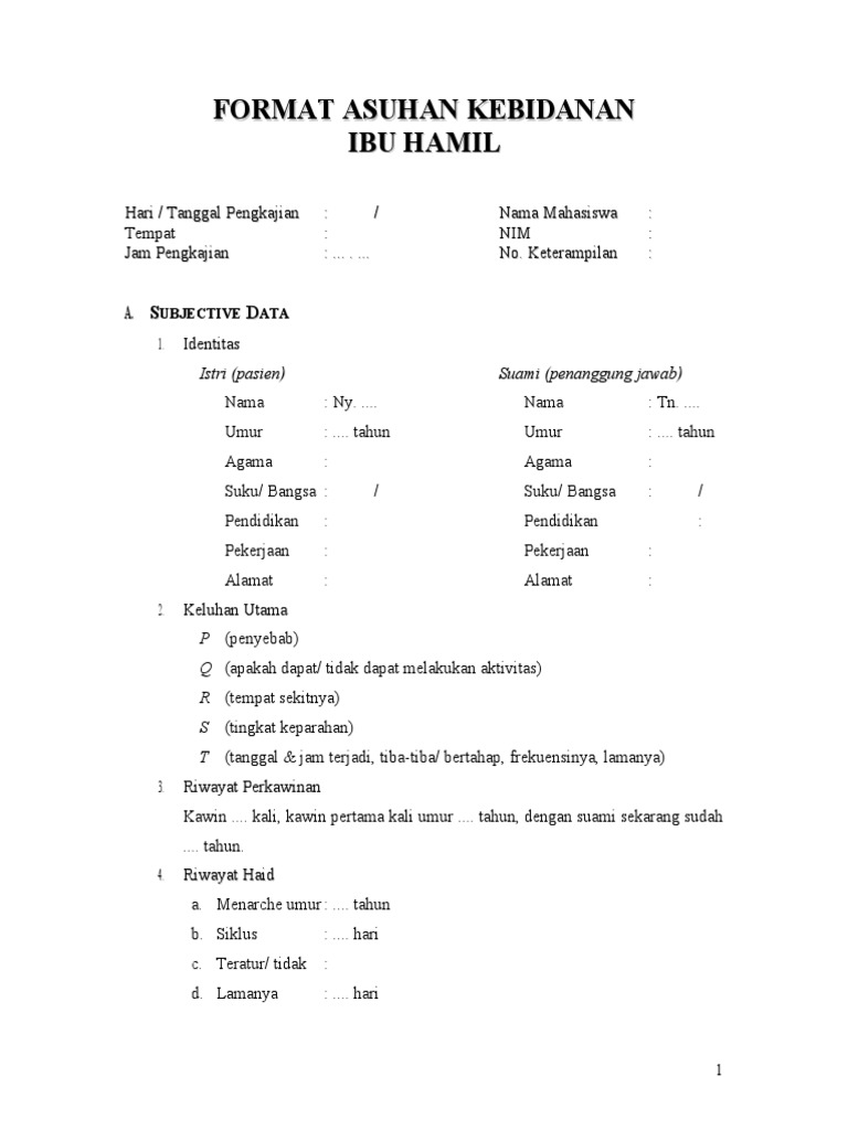 Format Askeb PD BUMIL | PDF | Kajian Bahasa Asing | Kesehatan Holistik