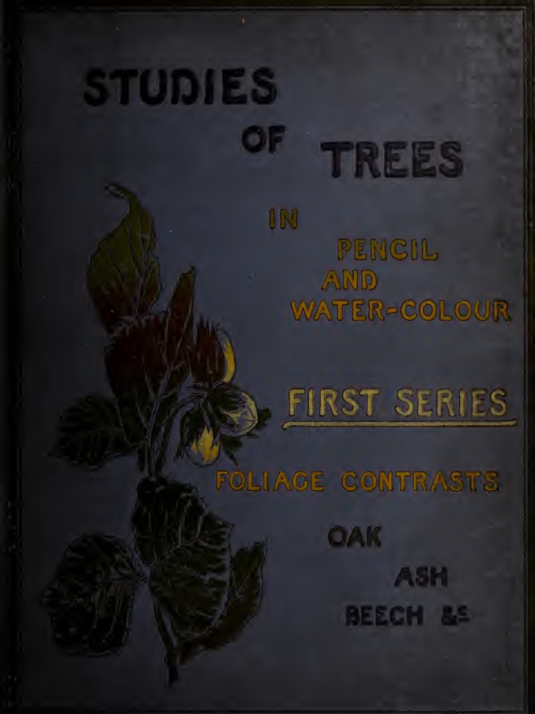 Studies of Trees Fi 00 Need | PDF | Trees | Oak