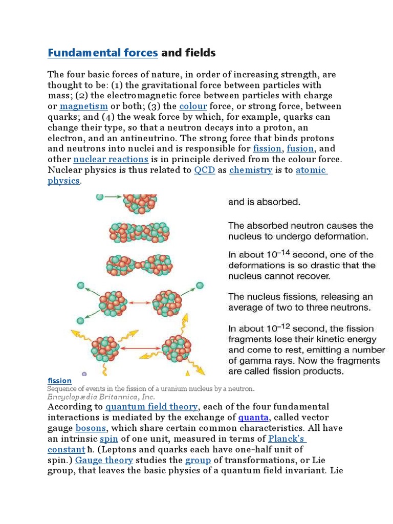 Fundamental Forces: and Fields | PDF