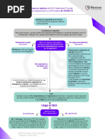Algoritmo SVB Adulto 2015 | PDF | Reanimación cardiopulmonar | Paro ...