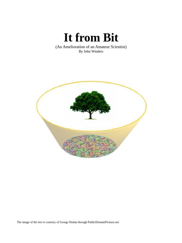 It From Bit | PDF | Entropy | Quantum Entanglement