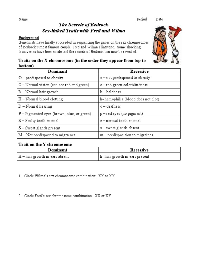 Flinstones Sex-Linked Traits Worksheet - F12 | PDF | Dominance ...