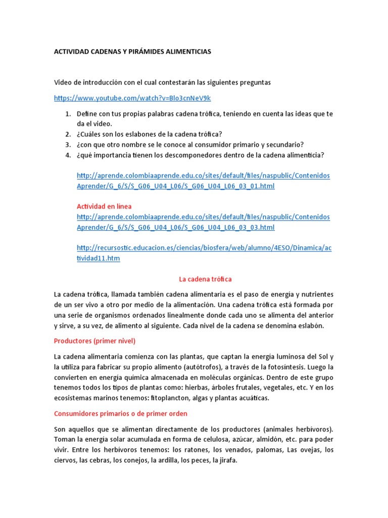 Actividad Cadenas y Pirámides Alimenticias | PDF | Red alimentaria ...