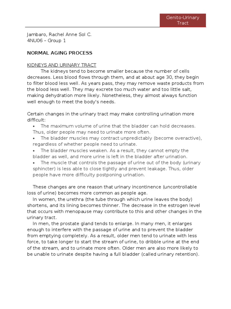 Print 1 | PDF | Urinary Incontinence | Urinary Bladder