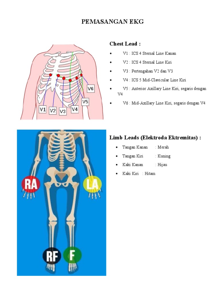 Pemasangan Ekg | PDF