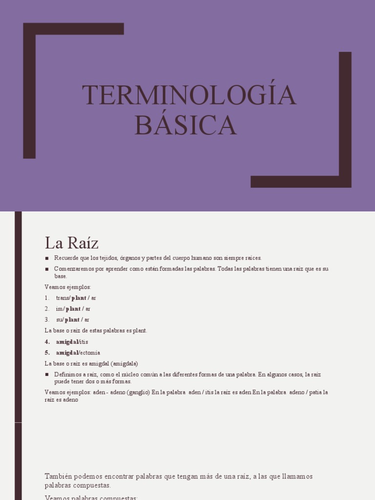 Terminología Básica | PDF | Palabra | Lingüística