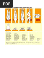 HC BPPV Right BBQ Roll | PDF