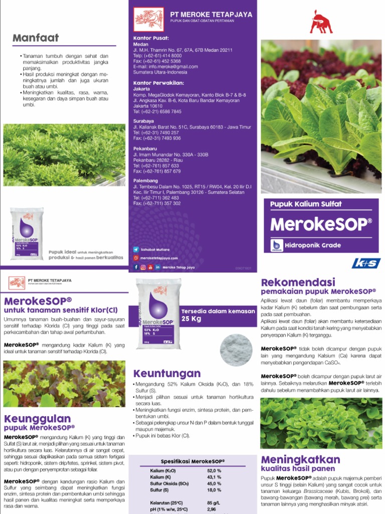 Meroke SOP Hidroponik | PDF