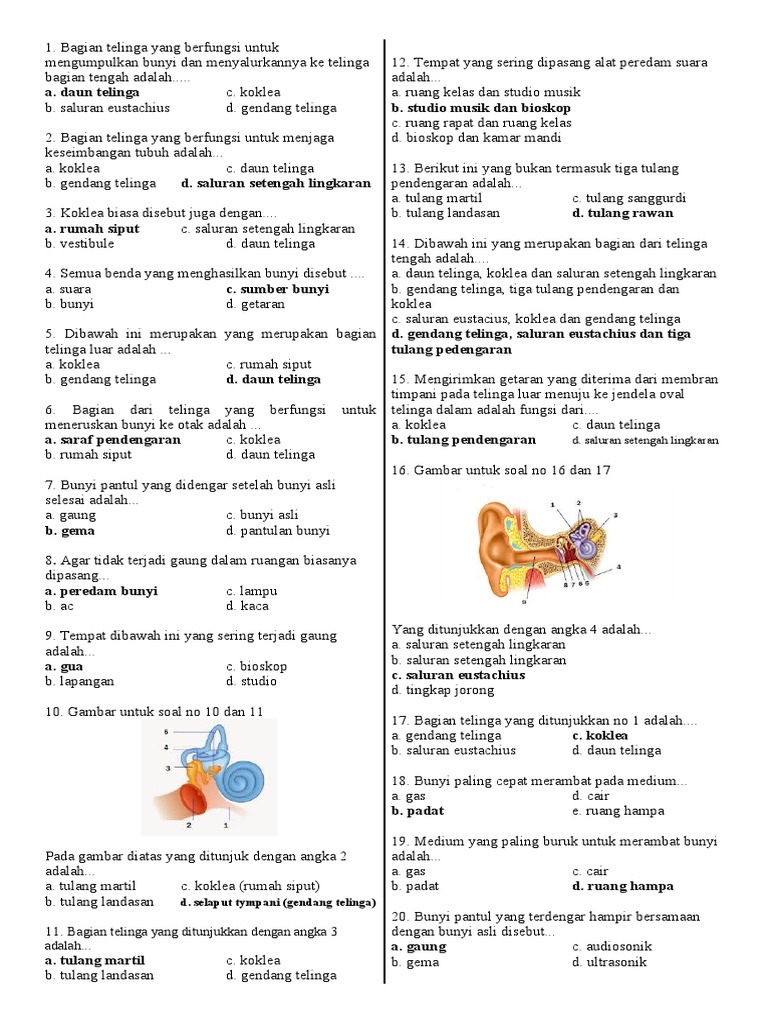 Bagian Telinga Dan Bunyi | PDF