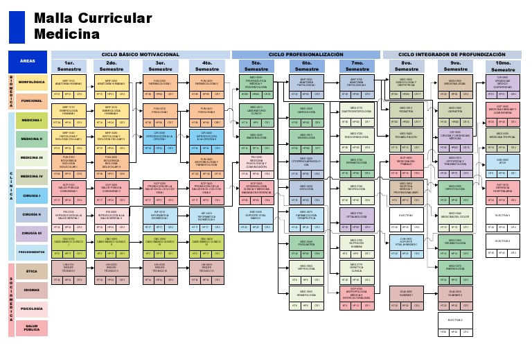 Estructura de la malla curricular de la carrera de Medicina | PDF | Ciencias de la vida | Biología