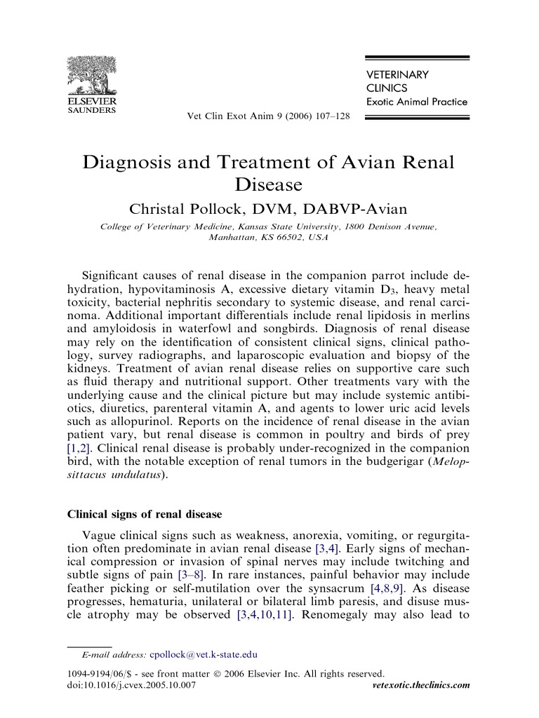 Diagnosis and Treatment of Avian Renal Disease: Christal Pollock, DVM ...