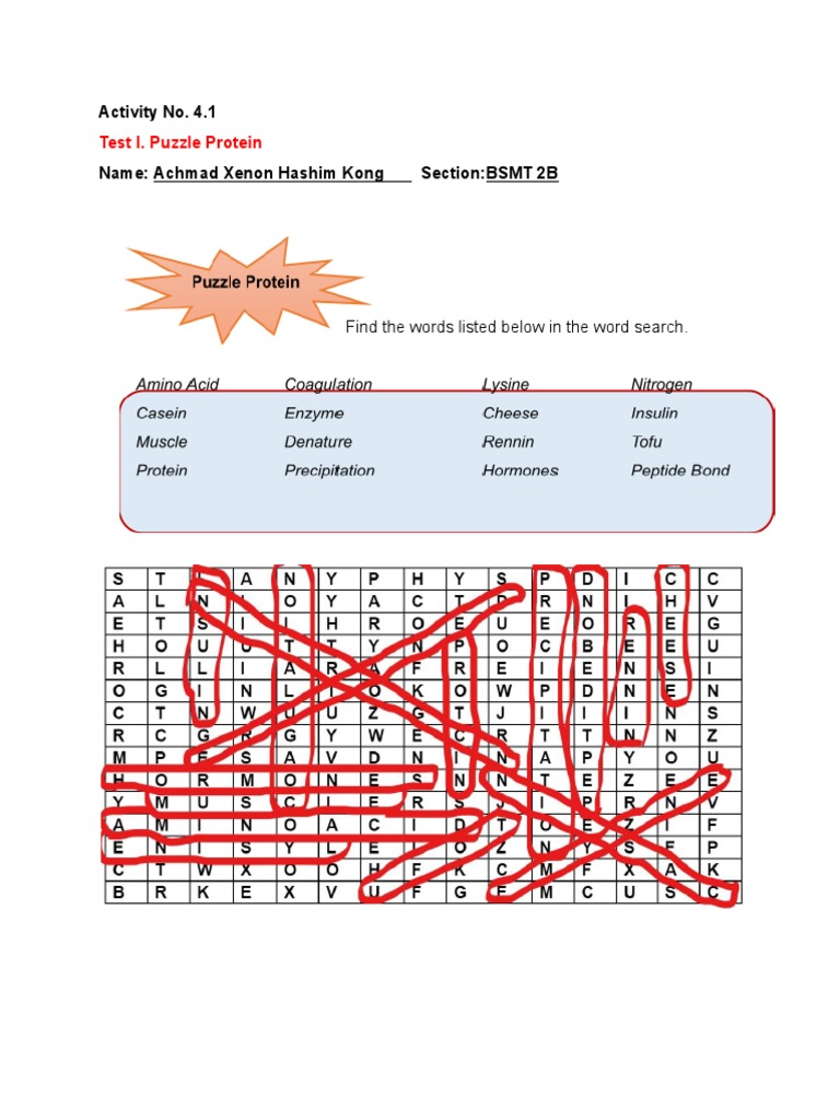 Activity No. 4.1 Puzzle Protein | PDF