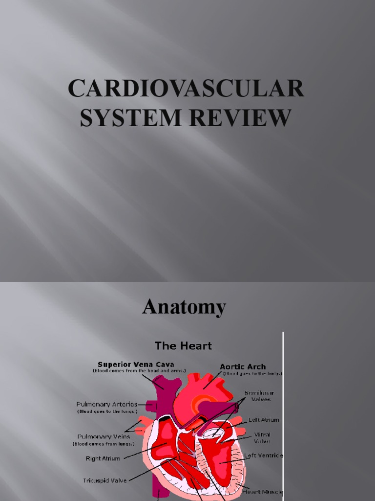 Cardiovascular System Review | PDF | Circulatory System | Heart Failure