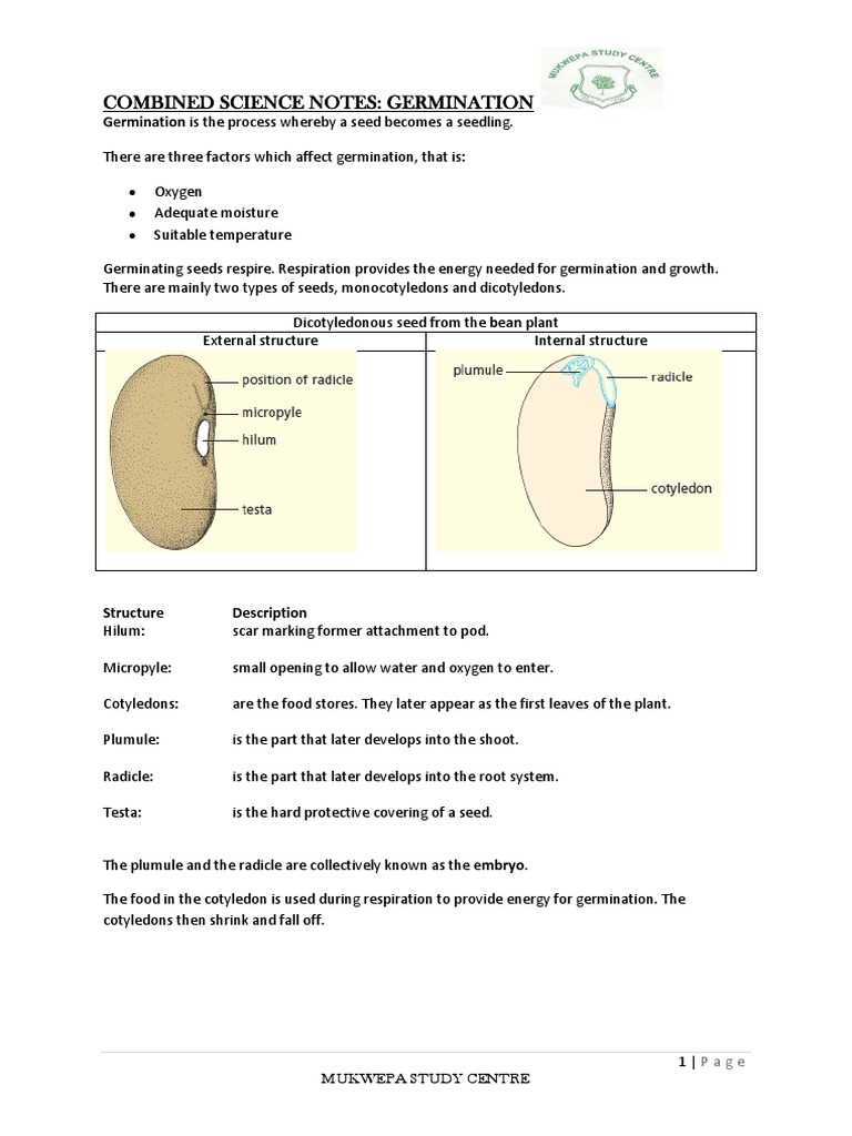 Combined Science Notes: Germination: Germination Is The Process Whereby ...