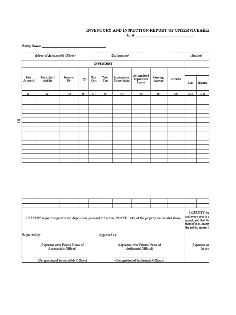 Inventory and Inspection Report of Unserviceable Property: Entity Name ...