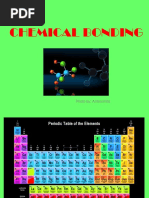 SpongeBob Genetics 2 Answers | PDF