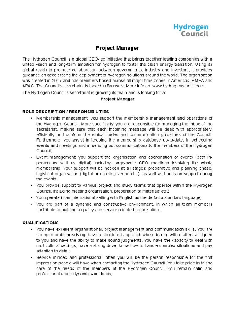 Project Manager Role Description Responsibilities PDF