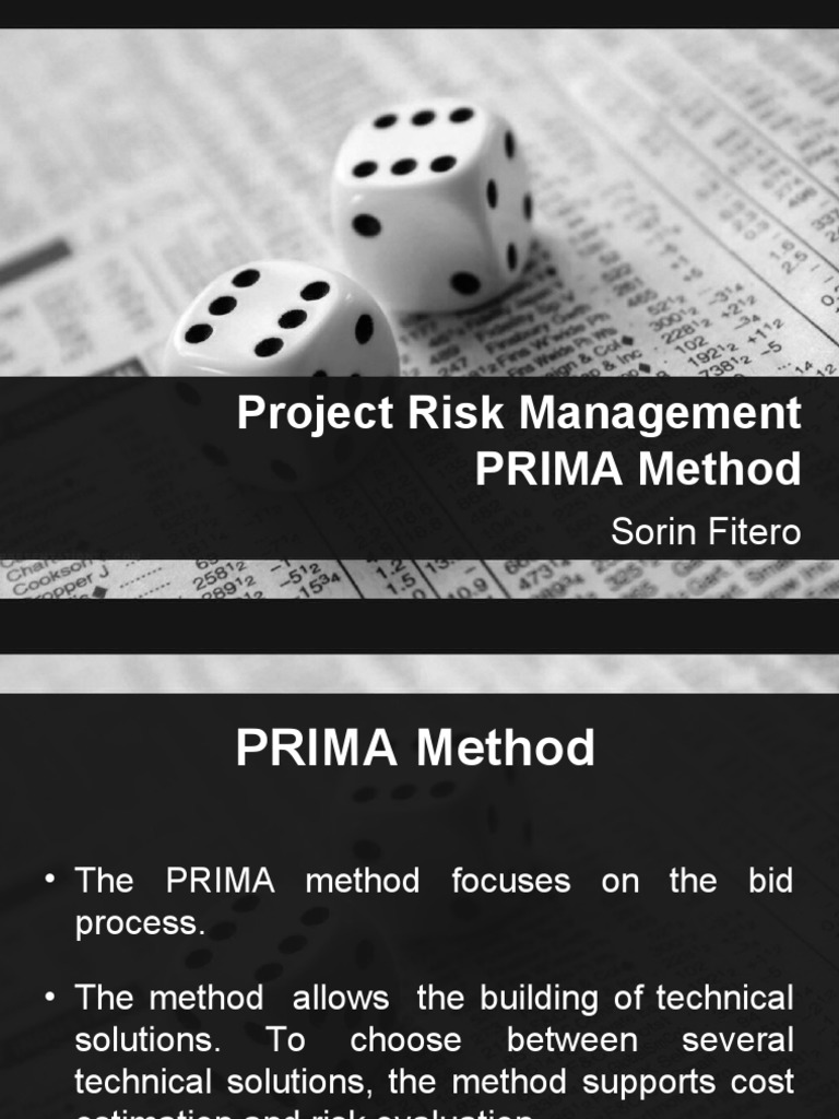 Prima Risk Management | PDF | Information Technology | Risk