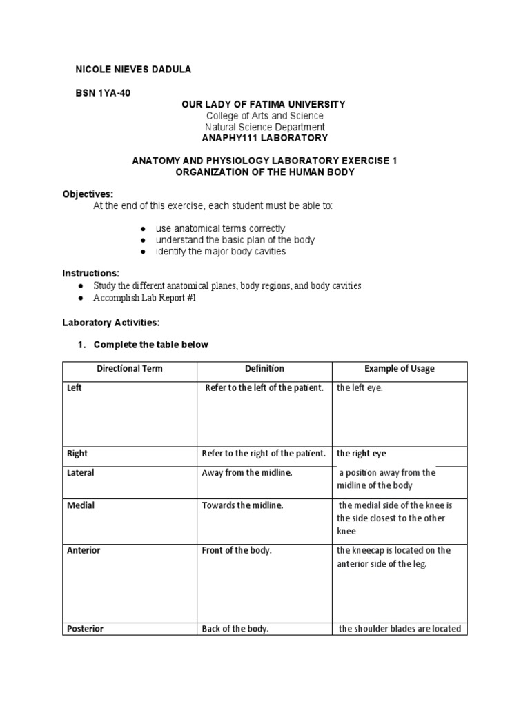 Lab 1 - Organization of Human Body | PDF | Human Body | Anatomical ...