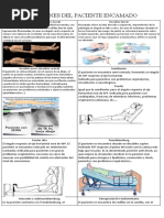Posición de Roser o Proetz | PDF | Inflamación | Biología Celular)