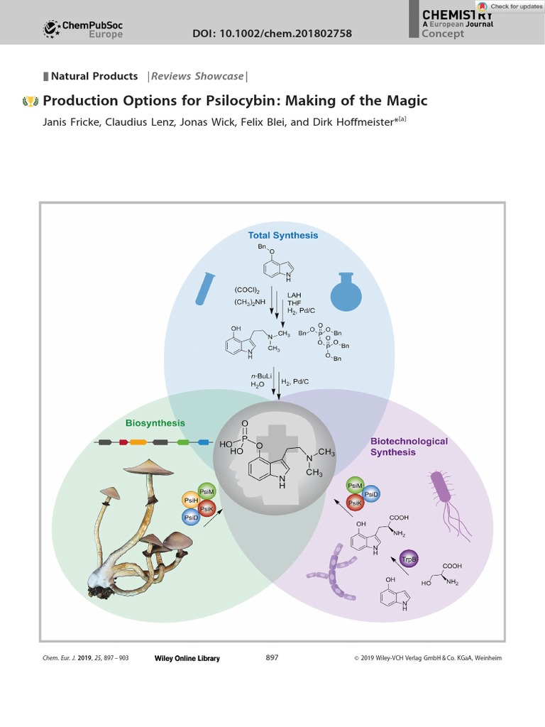 Psilocybin Production and Biosynthesis Insights | PDF | Psilocybin | Enzyme