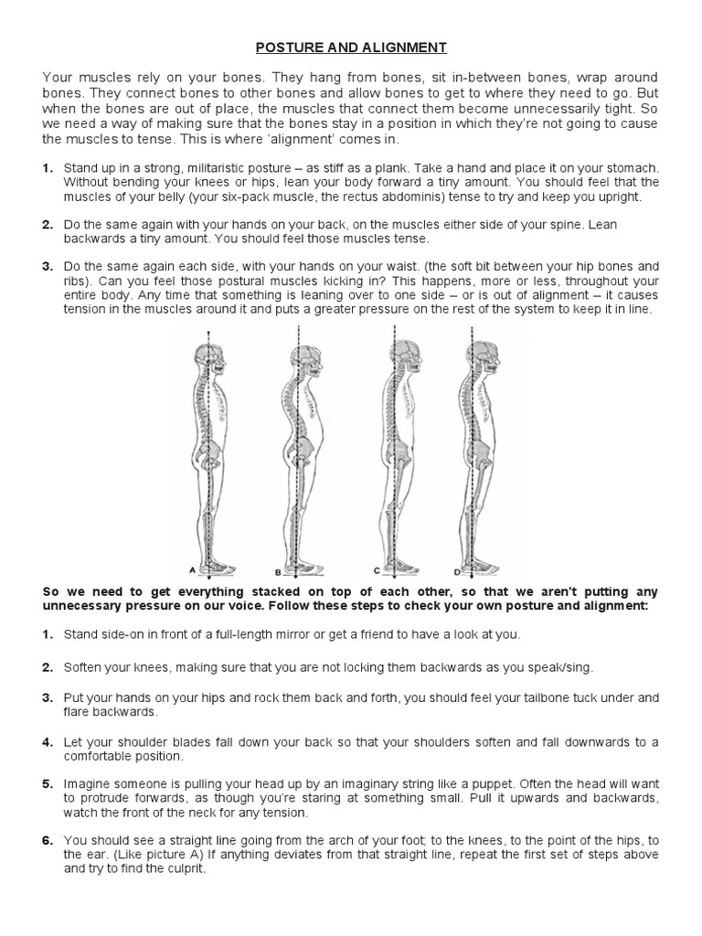 Posture and Alignment | PDF | Abdomen | Human Anatomy