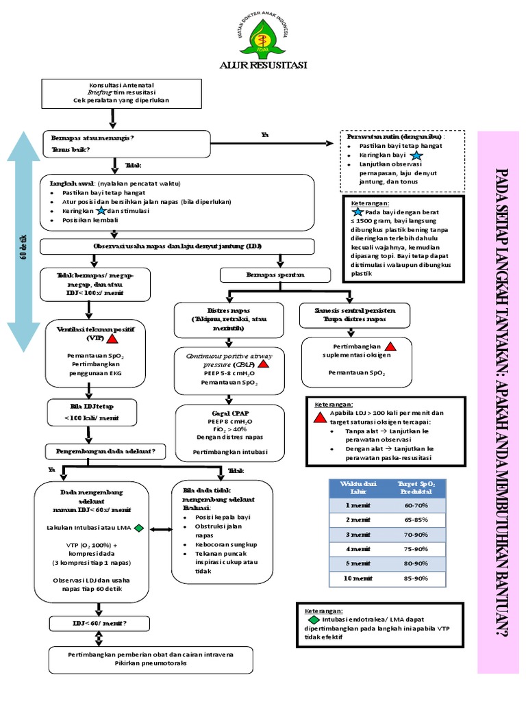 Alur Resusitasi Neonatus IDAI | PDF