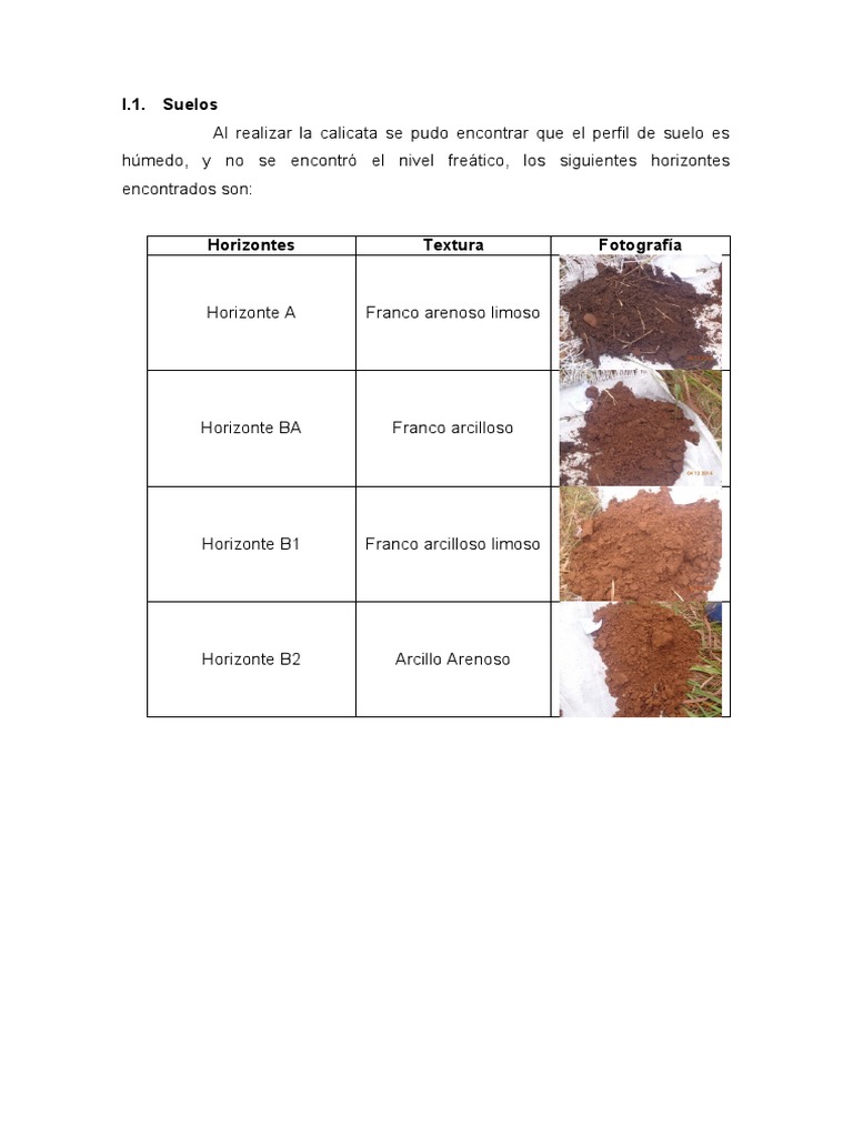 Calicata | PDF | Ciencia del suelo | Materiales naturales