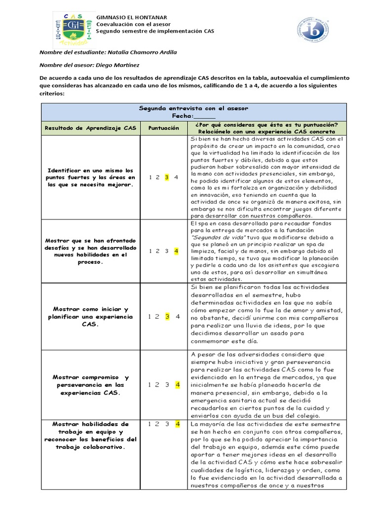 Segunda Entrevista Con El Asesor Natalia Chamorro | PDF | Aprendizaje | Amor