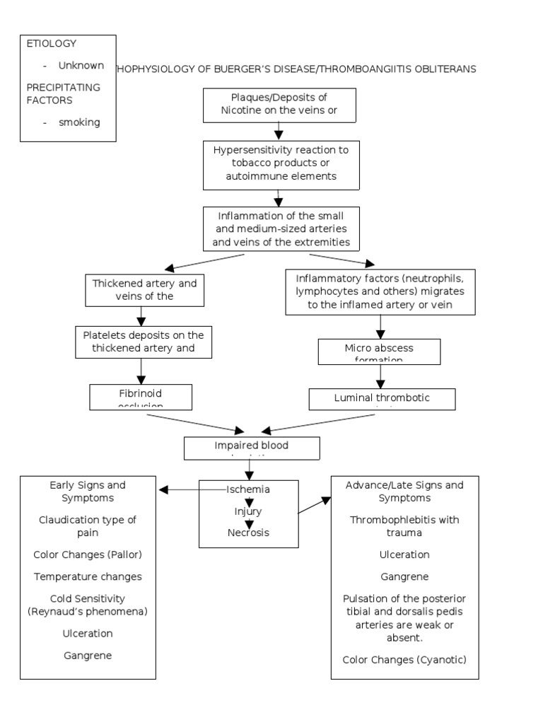 PATHOPHYSIOLOGY OF BUERGER disease