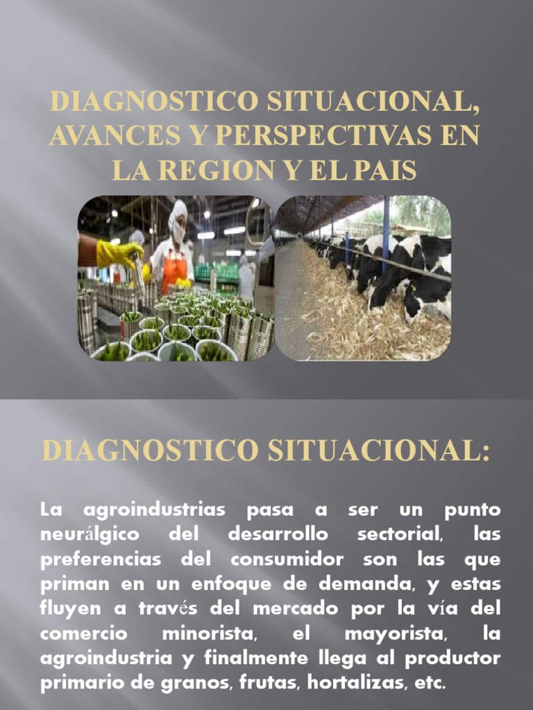 Diagnostico Situacional, Avances y Perspectivas en La | PDF