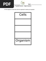 Parts of A Cell Cut and Stick Worksheet | PDF | Cell (Biology) | Cytoplasm