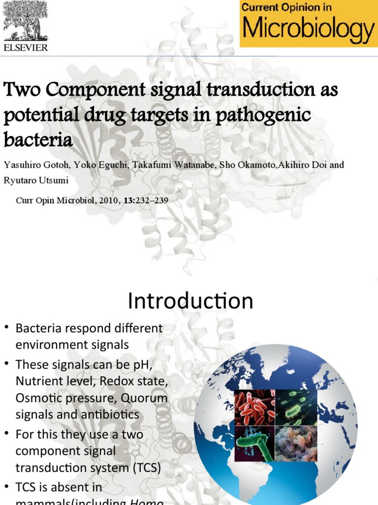 Two Component System As Drug Targets in Pathogenic Bacteria | PDF ...