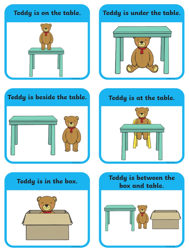 Teddy's Positioning Around the Table | PDF