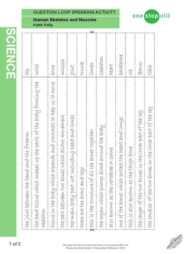 Worksheet Human Skeleton and Muscles: Energy Flows Question Loop ...