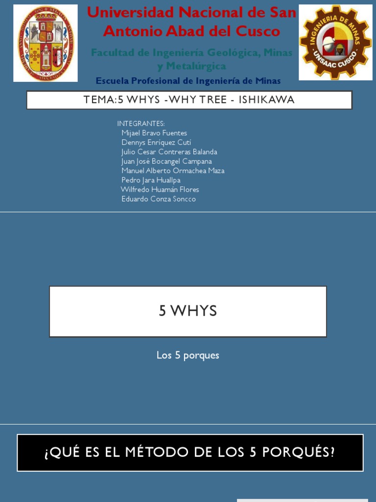 5 Whys - Why Tree - IshiKAWA | PDF