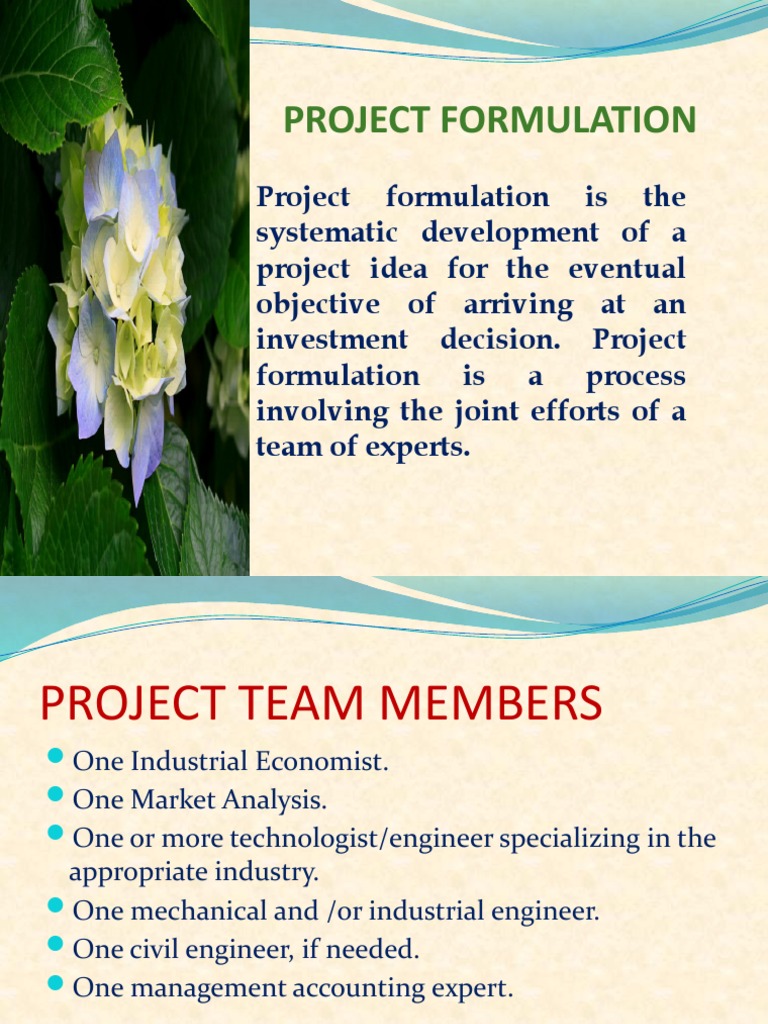 Project Formulation | PDF