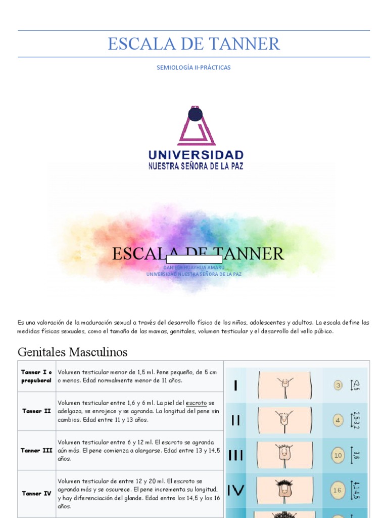 Escala de Tanner | PDF | Pecho | Testículo