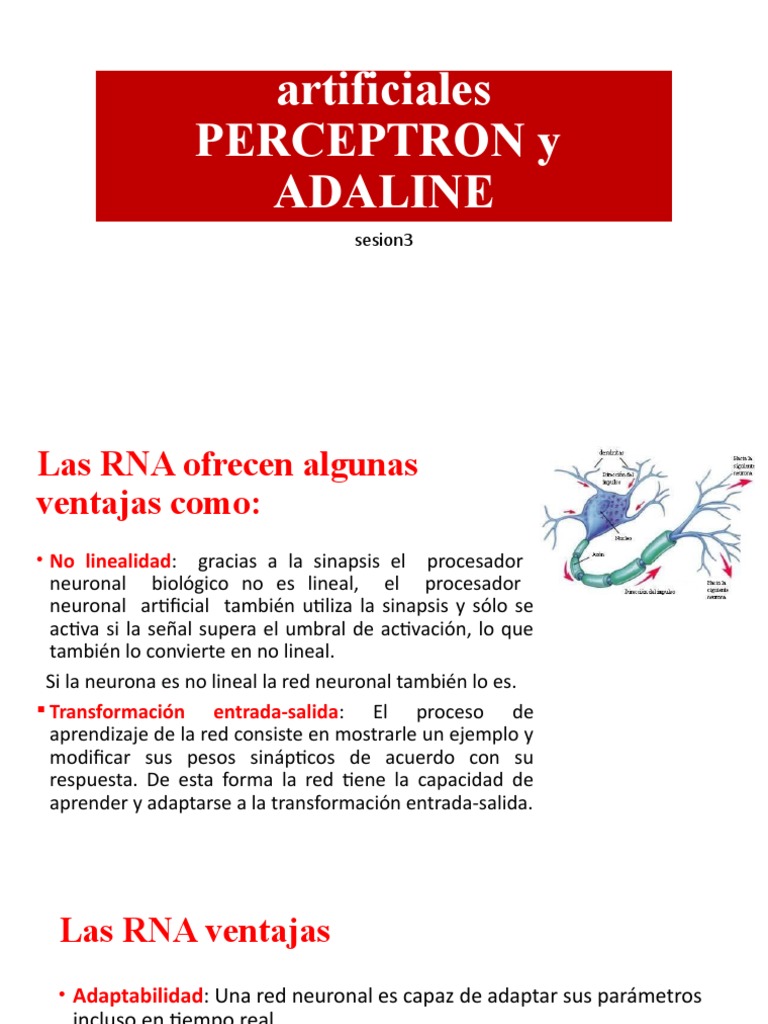 Redes Neuronales pERCEPTRON-ADALINE | PDF | Neurona | Red neuronal ...