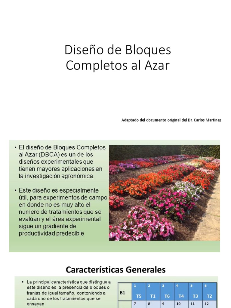 Diseño de Bloques Completos Al Azar | PDF
