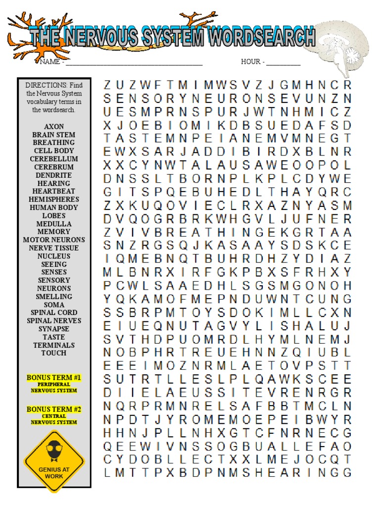 Nervous System - Word Search | PDF | Self-Improvement | Science ...